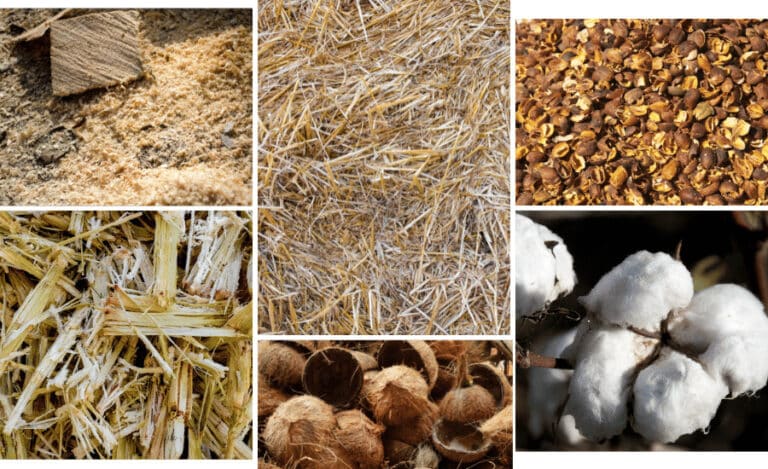 Raw Materials Used in Biomass Briquette