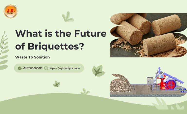 What is the Future of Biomass Briquettes in India?